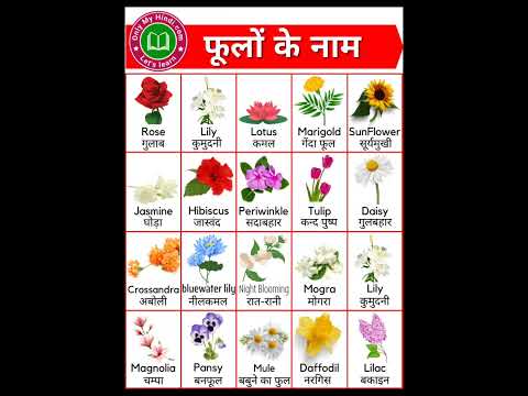 20 flowers name