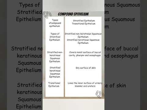 Epithelial Tissue Flashcards #zoology #neet2023 #education #flashcards #onshot #tissue #biology #11