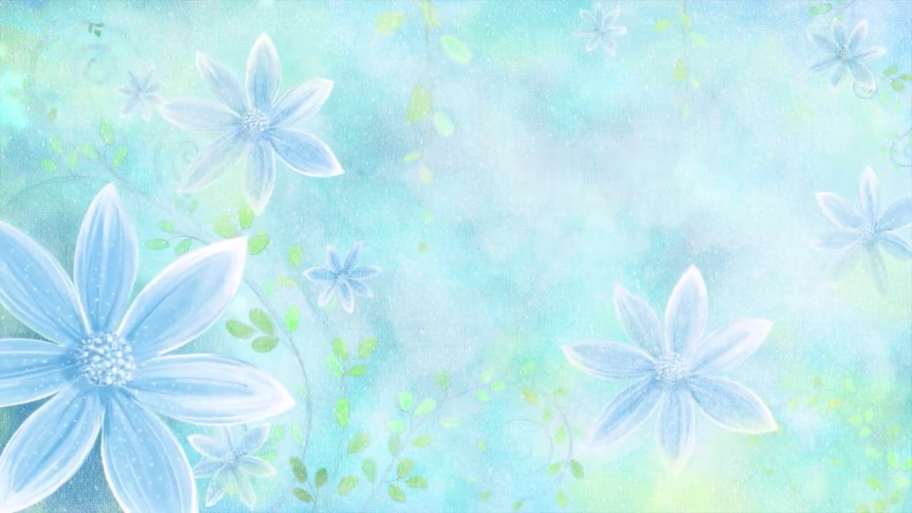 Light blue Sky colour flower video background,flower full hd video download