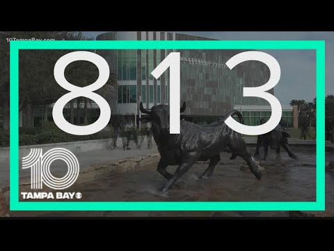 Tampa, Hillsborough County celebrate 813 Day