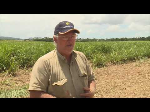 S6 E3: Virtual Bus Tour: Sundown growers co-operate to prosper