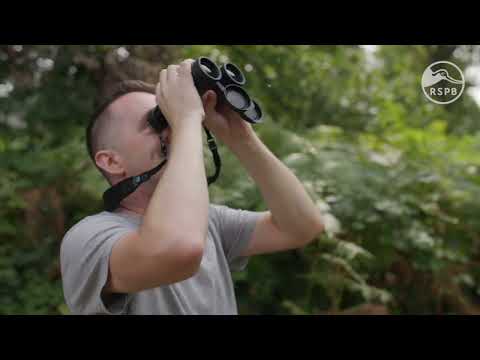 What do binoculars numbers mean?