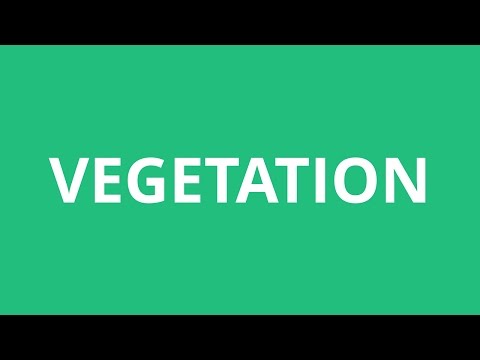 How To Pronounce Vegetation - Pronunciation Academy