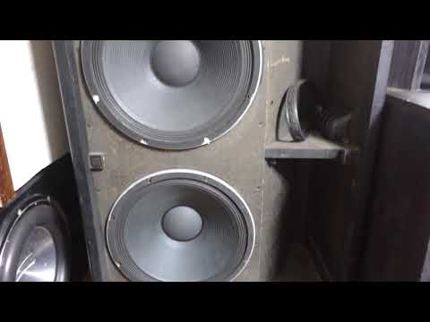 Peavey BlackWidow 15"