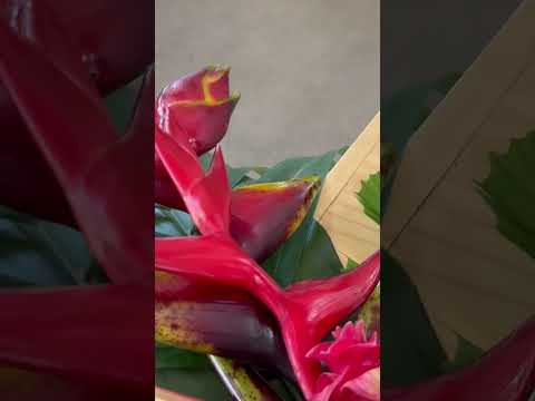 Tropical flowers for sale in Hawaii