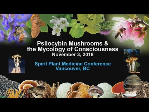 Wow! Paul Stamets talks about Psilocybin Mushrooms & the Mycology of Consciousness