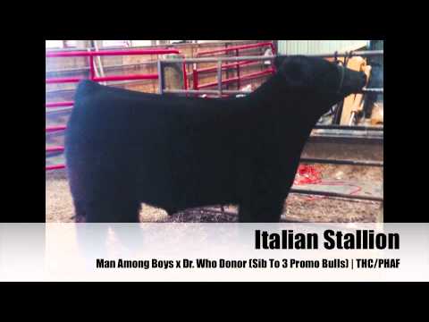 Coming To National Western Stock Show | Janury 16 - January 19