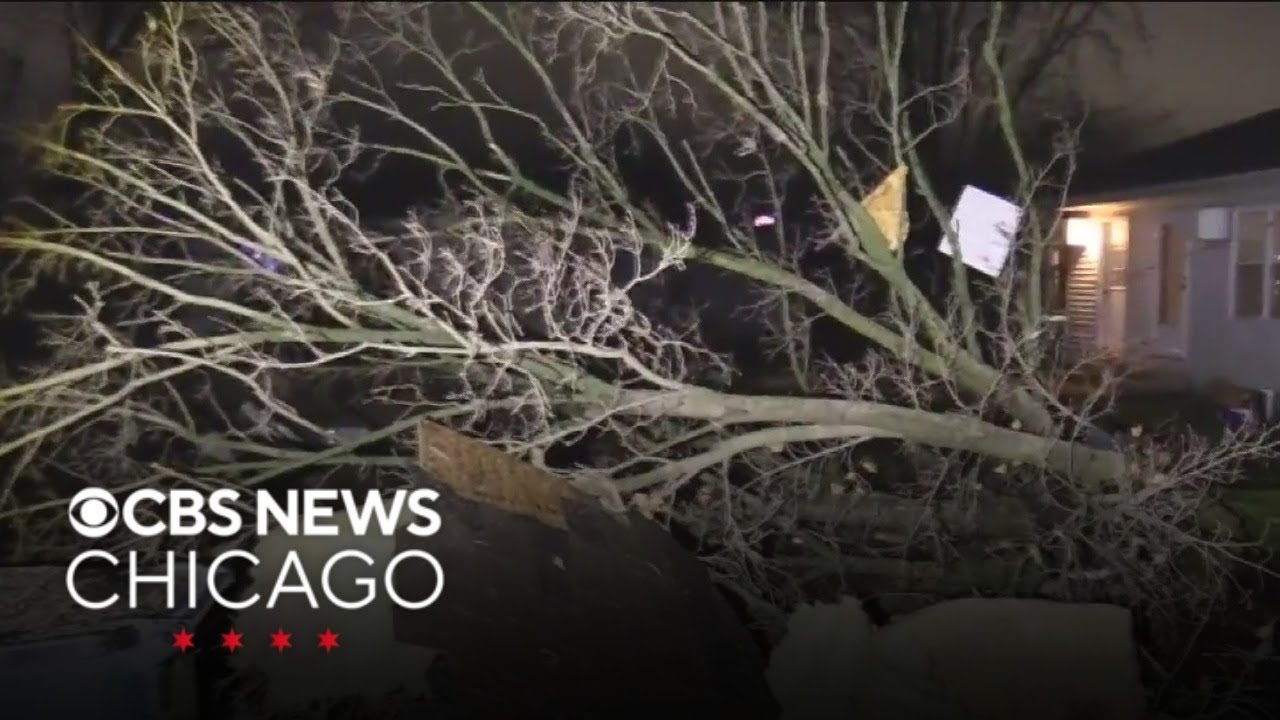 Severe storms leave widespread damage in Central Illinois