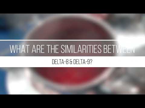 What Is The Difference Between Delta 8 and Delta 9 | Ask An Expert | Mystic Labs™
