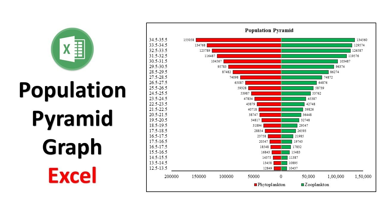 Creating a Population Pyramid Graph | Excel