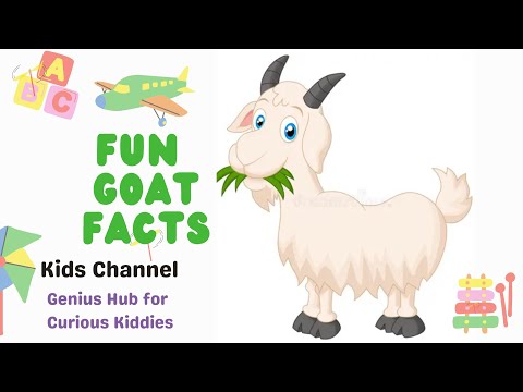 Fun Goat Facts for Kids