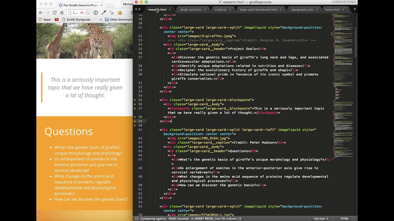 Create an Angular directive using ng-transclude