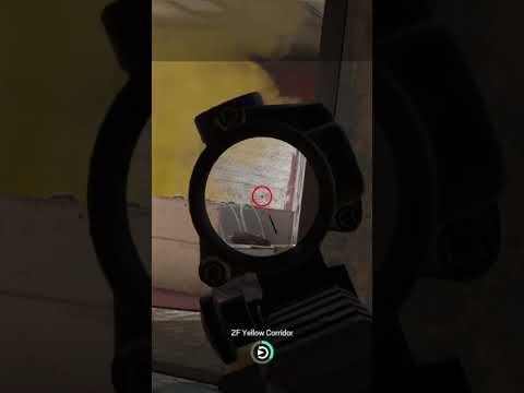 Clean kill moment 1