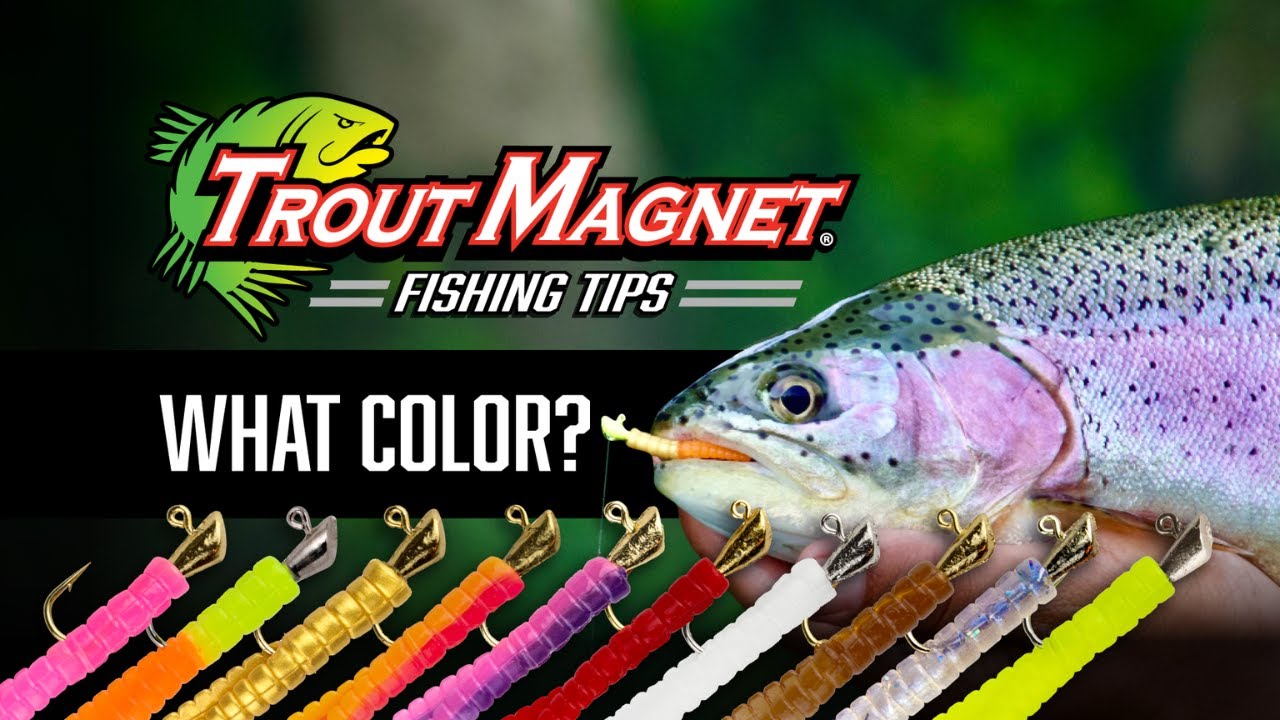 Which TROUT MAGNET Color is BEST