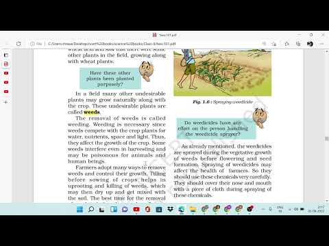Protection from Weeds, Weedicides, Class - 8, Science, Chapter - 1