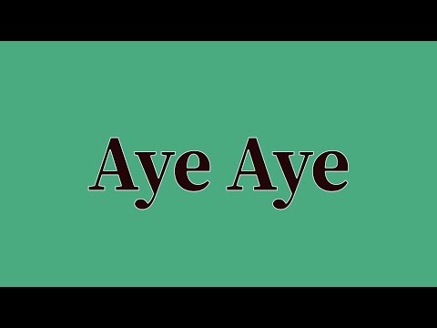 Aye Aye Pronunciation and Meaning