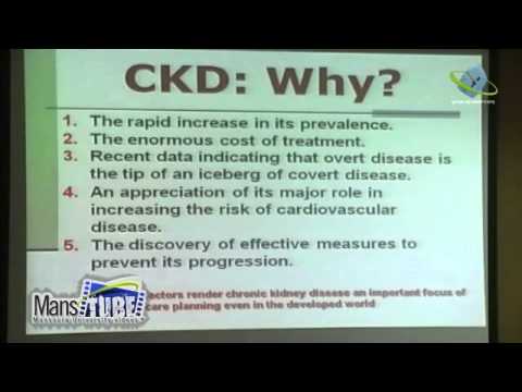 Chronic Kidney Disease Update . CKD definitions and diagnosis:Dr. Hussein Sheashaa