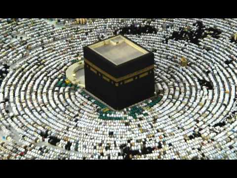 Interesting Islamic Facts | ISLAM is the Best Religion on the Universe