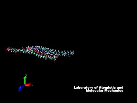 Steered molecular dynamics (SMD) simulation of PAA/PAH polyelectrolyte complex