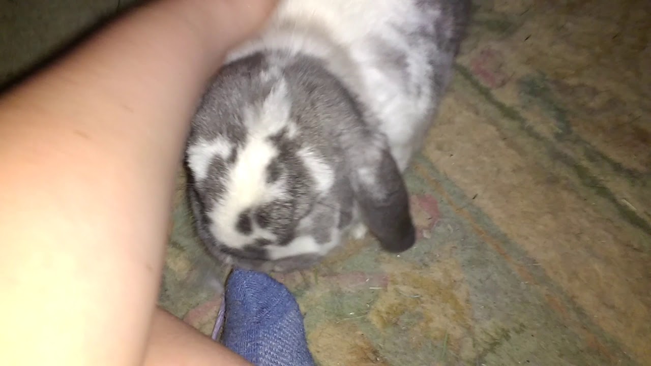 Me getting tickled by Mama Sophie