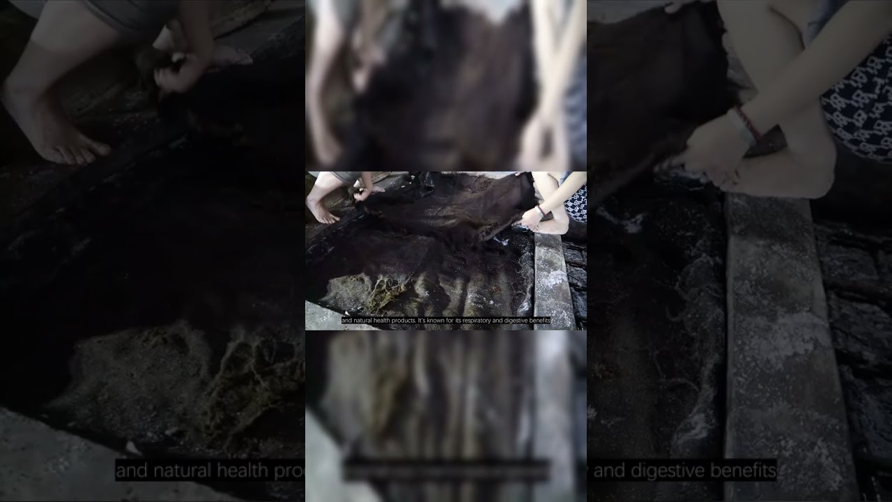 Unveil the Benefits of Hyssopus officinalis Oil