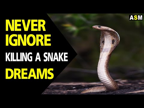 What does killing a snake in Dream meaning | Dreaming of killing a snake | Dream Interpretation