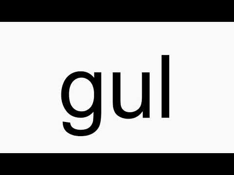 How to pronounce gul