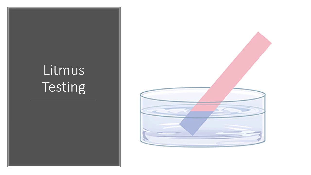 Litmus Testing