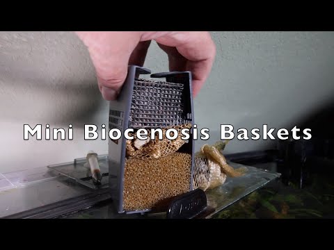 The Algae problem solver/fighter/solution Zeolith/Zeolite - Plants, Algae, and Fertilizers ...