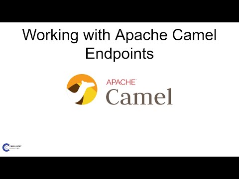 Working With Apache Camel Endpoints