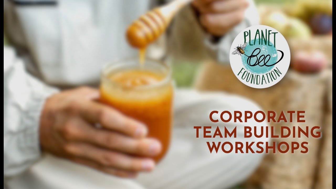 Corporate Team Building Workshops, Honey Tasting, and Bee House Building!