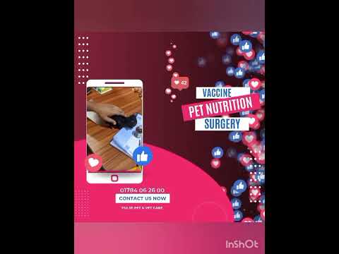 Pulse pet & vet care Sylhet , Our Services , #animalhospitals #animalcare #veterinarycare #pets