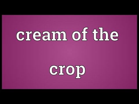 Cream of the crop Meaning