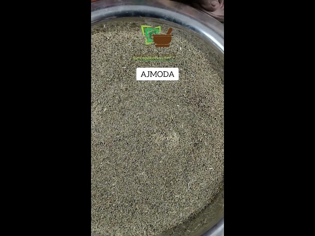 Herbal Seeds - Sugandpal Cultivated Manufacturer Trader - Wholesaler ...