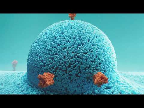 Introducing the dISA technology