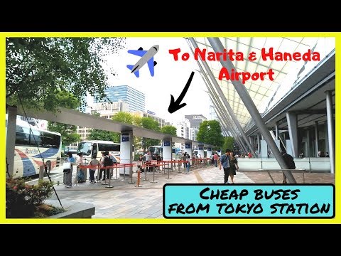 Cheap buses to reach Narita and Haneda Airport from Tokyo Station! | 【SUB ITA】