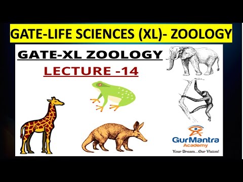 GATE Life Science Zoology- 14 Video Lecture - Crash Course for GATE Life