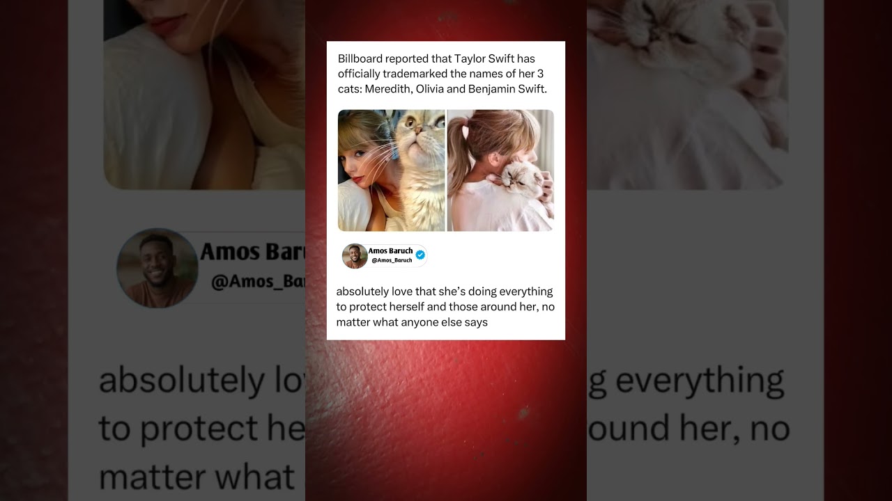 Taylor Swift Trademarked Her Cats’ Names