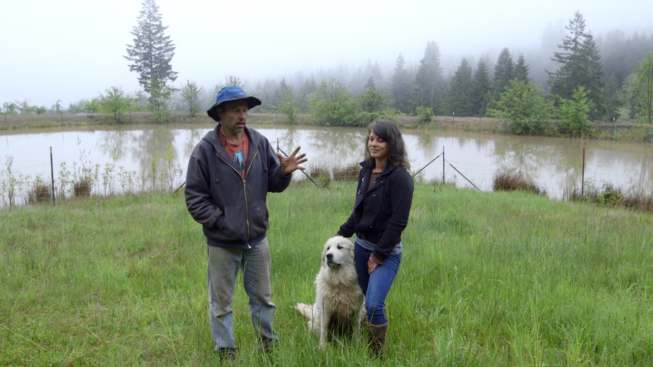 22 Cougar Mountain Farm
