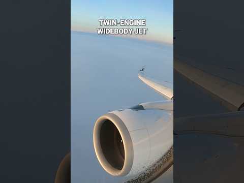 Boeing 787 vs Airbus A350 - which is more popular?