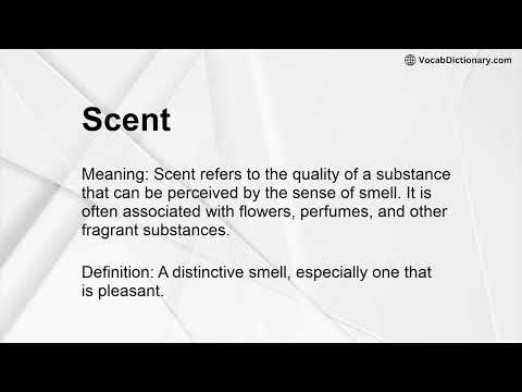 Scent Meaning