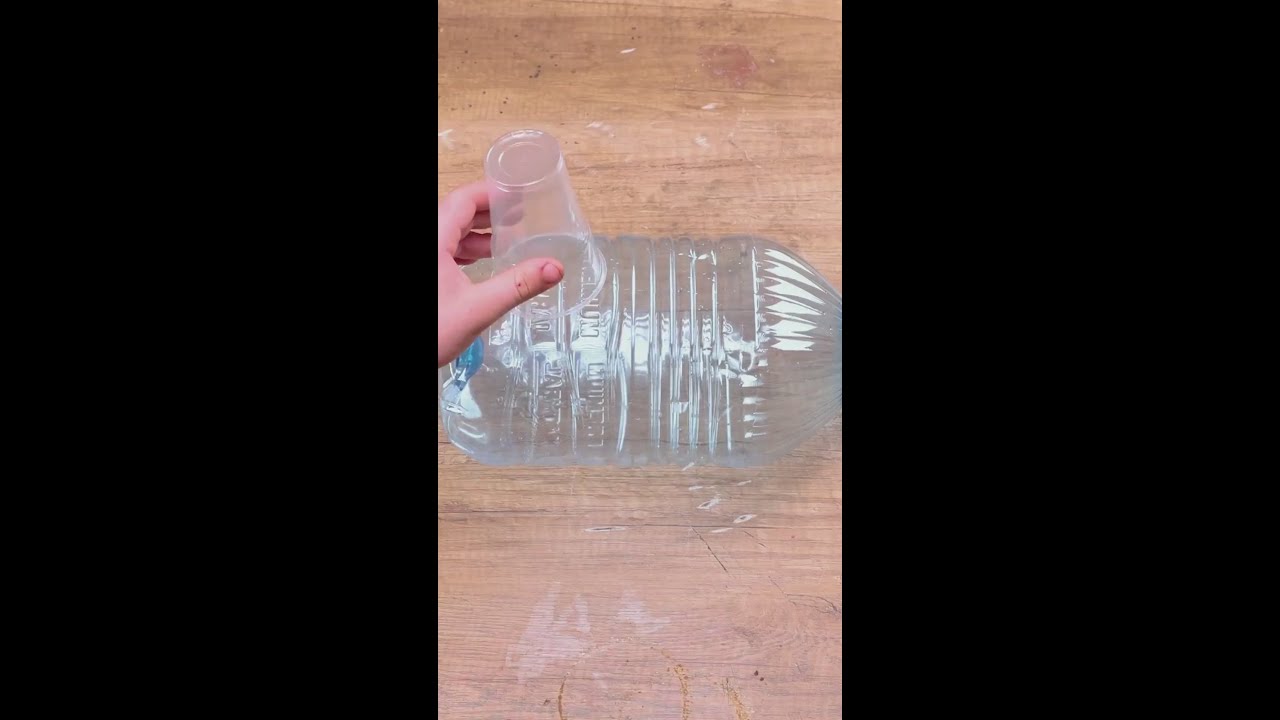 Green Thumb Secrets for Both Indoor and Outdoor Gardens! 🌿