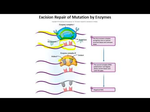Microbiology Unit 3-2