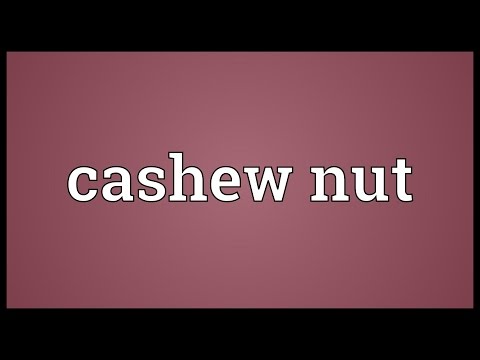 Cashew nut Meaning