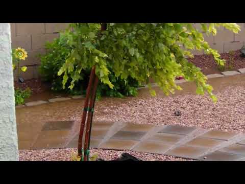 Pahrump, Nevada monsoon wind/rain 1 - 7.31.22
