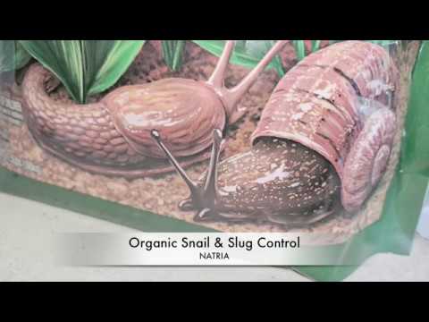 Organic Snail and Slug Control - Natria