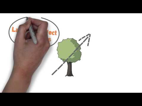 Comply with Environmental Regulations