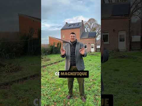 Teasing part II - 2 rue des Peupliers 5199 Jemeppe-sur-Sambre - Mamertin Immobilier