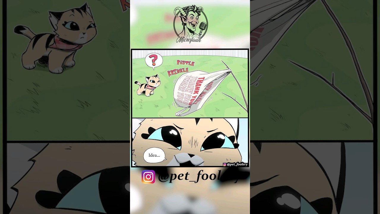 How Plastic Bags KILL CATS - Pixie and Brutus #funny #pets #cute #dub