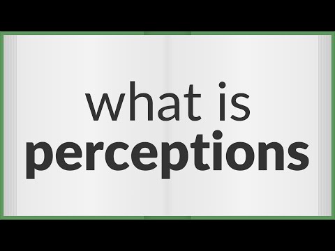 Perceptions | meaning of Perceptions